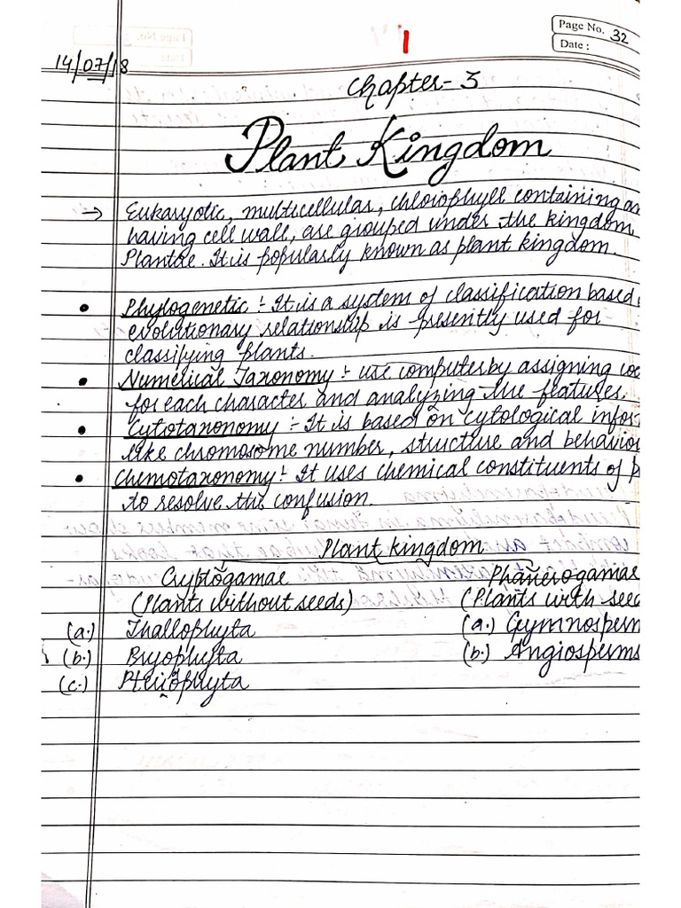 Plant Kingdom Notes | PDF