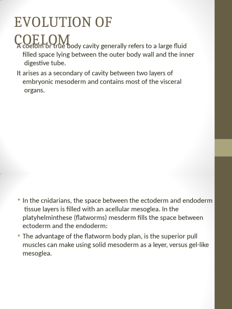 EVOLUTION OF COELOM - Anatomy | PDF | Anatomy | Biology