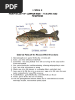 Parts of A Fish | PDF
