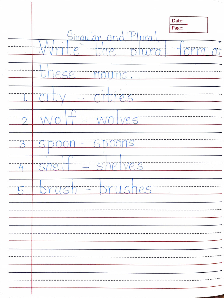 Class-2 Ch-3 Nouns-Singular and Plural (Grammar) | PDF