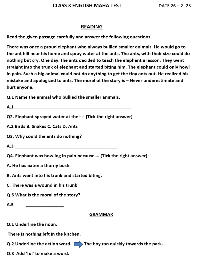 Class 3 English Maha Test | PDF