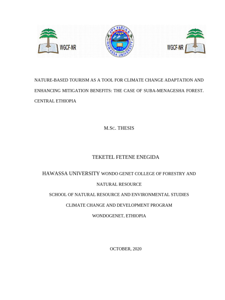 Teketel MSC Thesis | PDF | Intergovernmental Panel On Climate Change | Climate Change