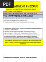 1 Isixhosa HL Worksheeet Notes Grade 11 Drama 11 Nathi Singabantu | PDF ...