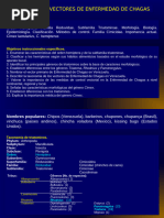 Triatominos: Vectores de Chagas | PDF | Biología