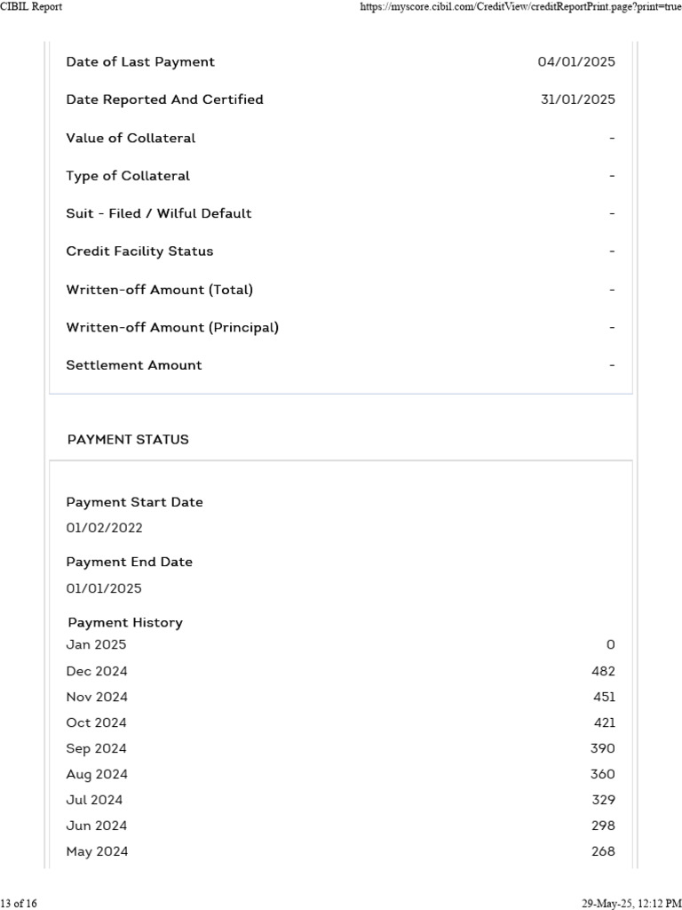 CIBIL Payment History Report | PDF