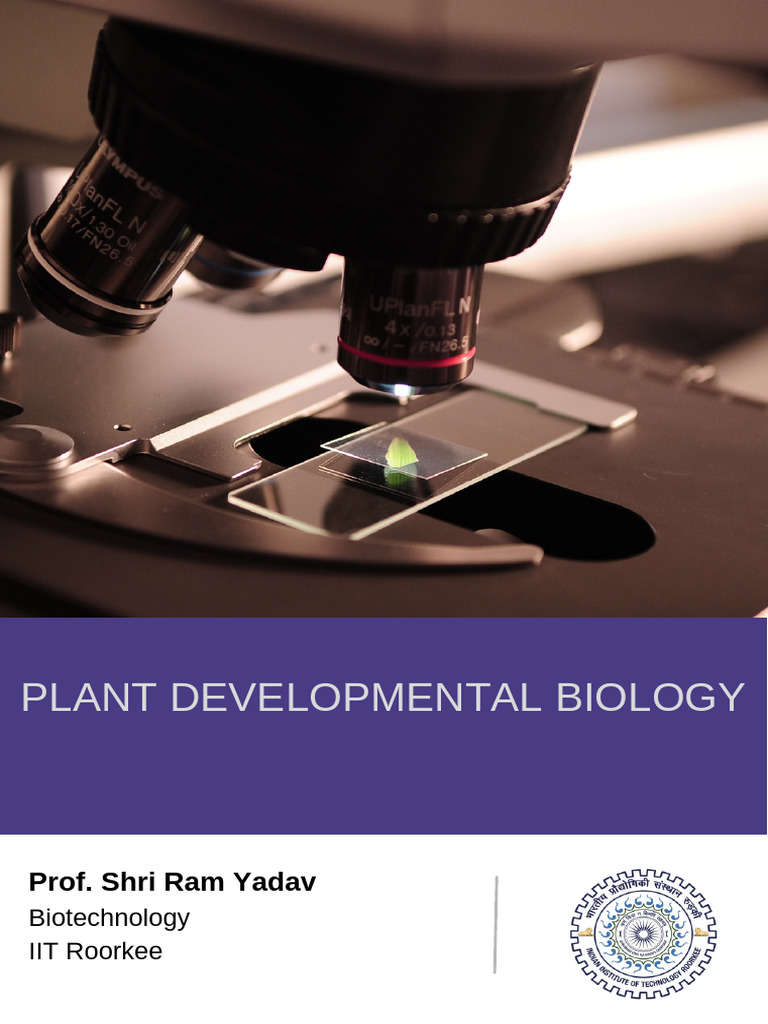 Plant Developmental Biology | PDF | Fertilisation | Root