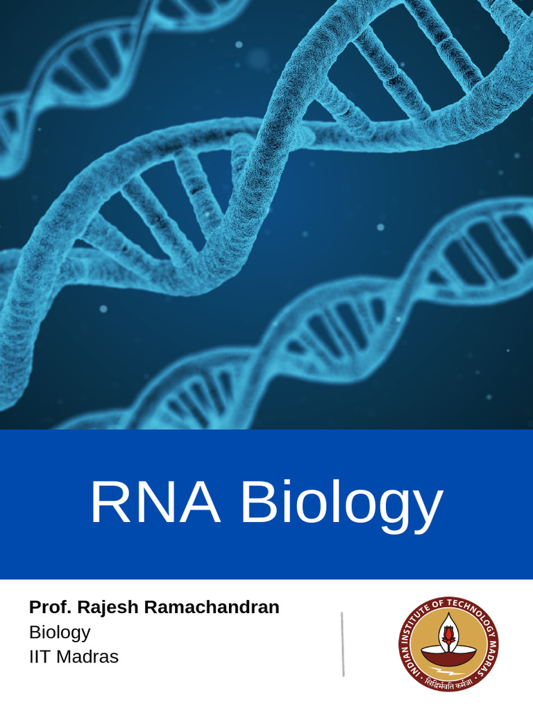 Rna Biology | PDF | Nucleotides | Rna