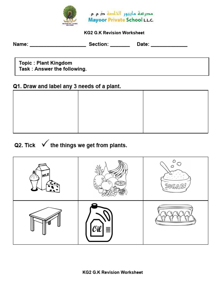 Home Learning - GK Revision Worksheet - Plant Kingdom | PDF