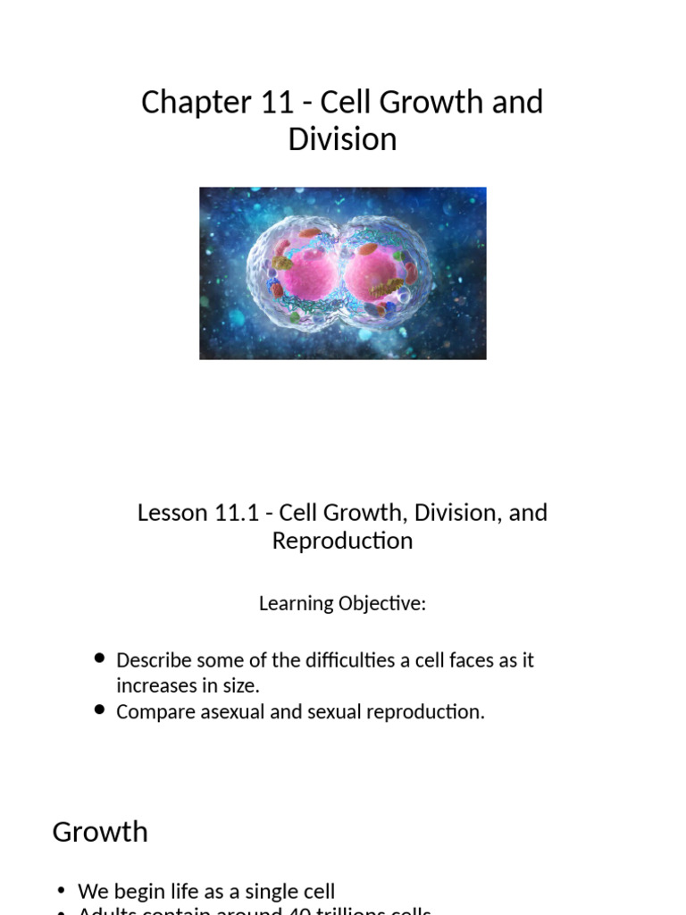 Chapter 11 Cell Growth and Reproduction | PDF | Reproduction ...