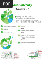 Thorax Anatomy Diagrams Overview | PDF