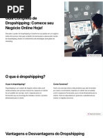 Manual@Dropmega Fornecedor (Oficial) | PDF | Economias