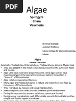 Chara | PDF | Algae | Biology