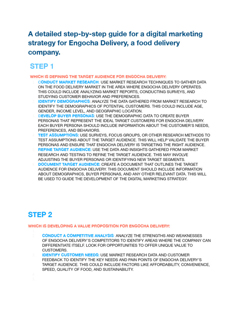 Engocha Delivery DIGITAL MARKETING STRATEGY | PDF | Target Audience ...