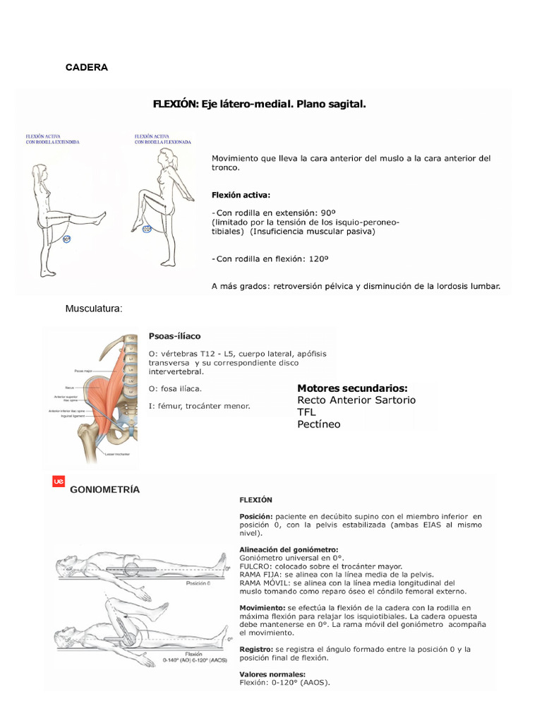 Cinesiterapia Y Movimientos De Cadera Pdf