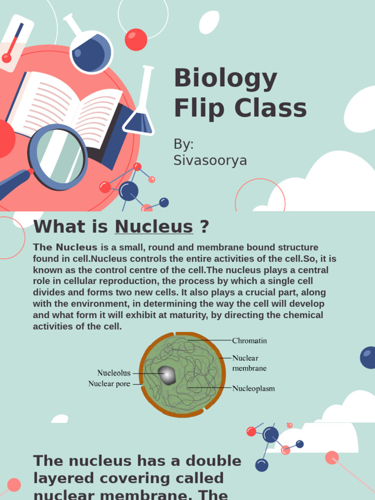 Biology Flip Class by Sivasoorya | PDF