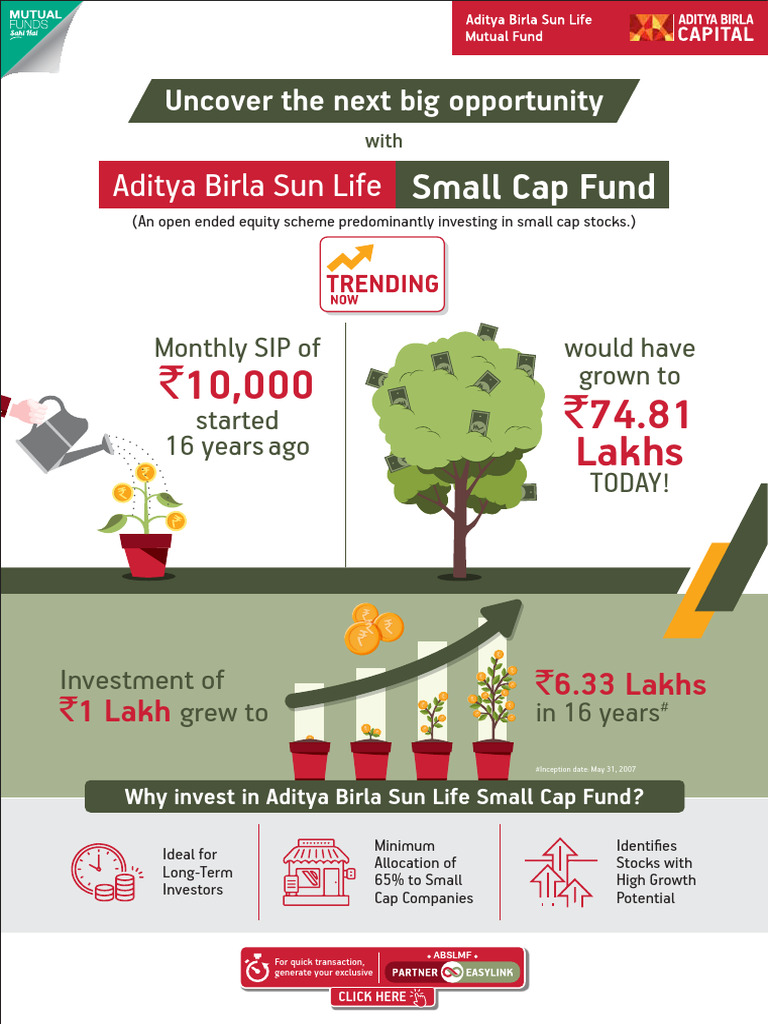 Aditya Birla Sun Life Small Cap Fund Insights | PDF | Investing ...