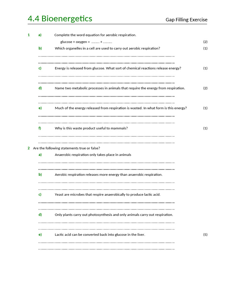 4.4 Bioenergetics Test Exercise | PDF | Cellular Respiration | Glucose