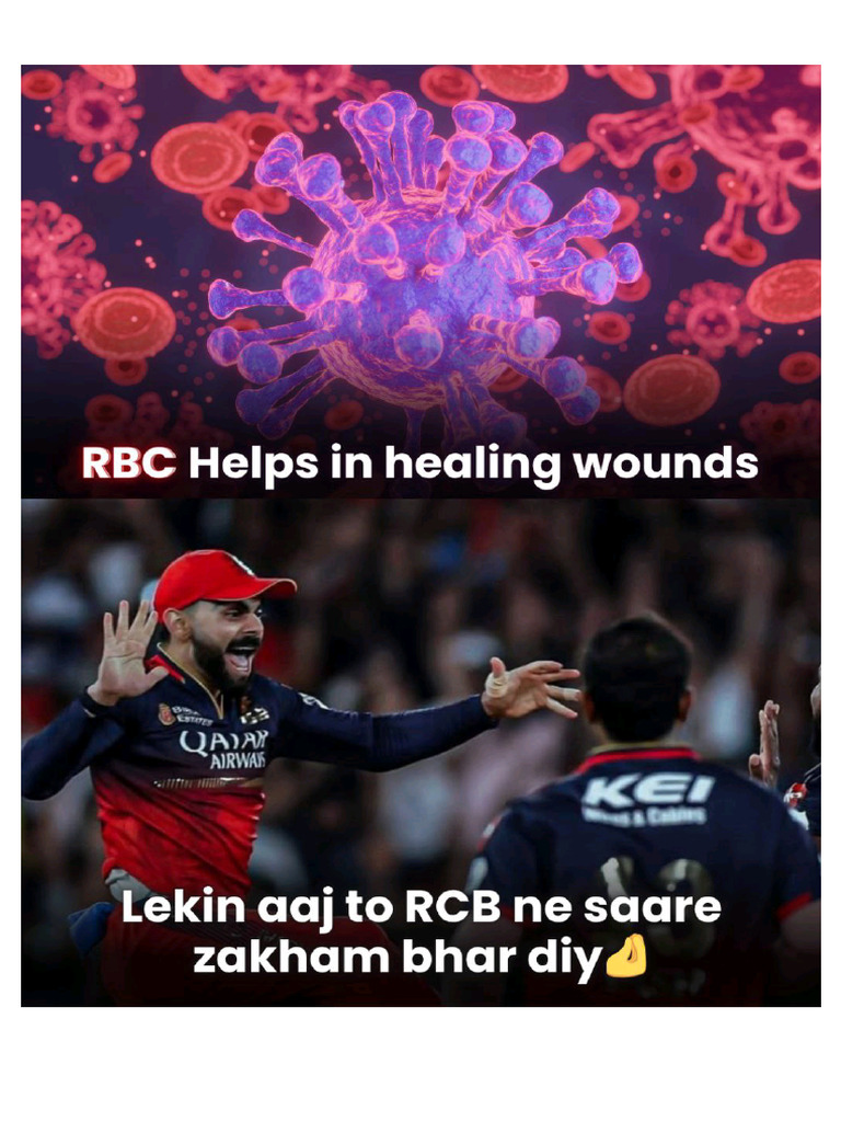 PDF Gallery - 20250614 - 142430 | PDF