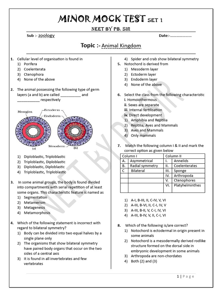 Schizocoelic Animal Classification Test | PDF | Fish | Mollusca