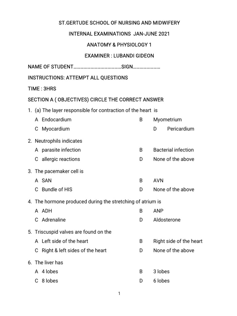 Anatomy Exam | PDF