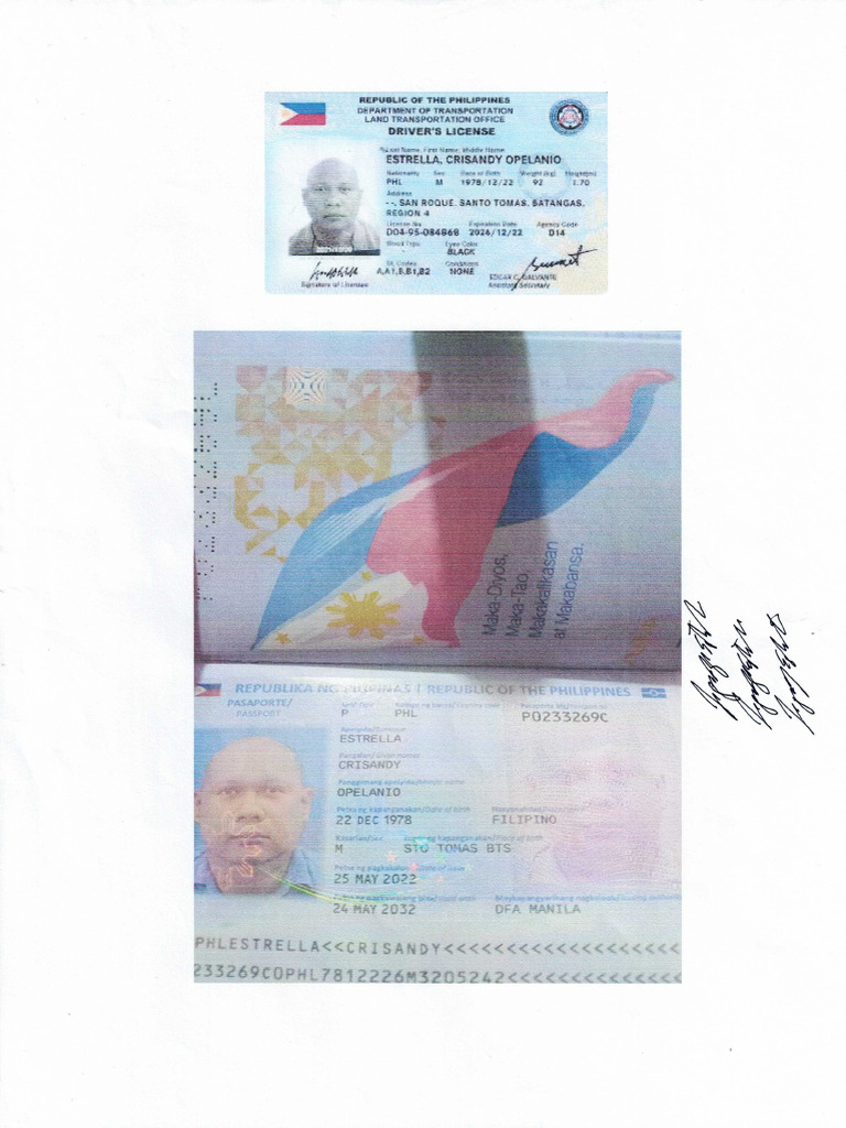 Valid ID - Estrella, Crisandy | PDF