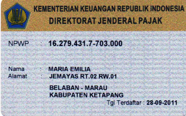 NPWP Maria Emilia | PDF