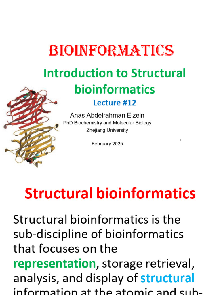 Lecture 12 (Structural Bioinformatics) | PDF | Protein Structure | Proteins