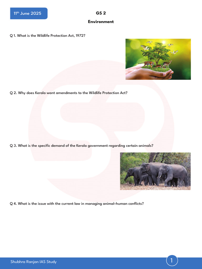 Workbook 11 June 2025 | PDF | Neutrino | Nature