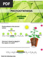 Grade 11 Life Sciences: Photosynthesis Guide | PDF | Cellular ...