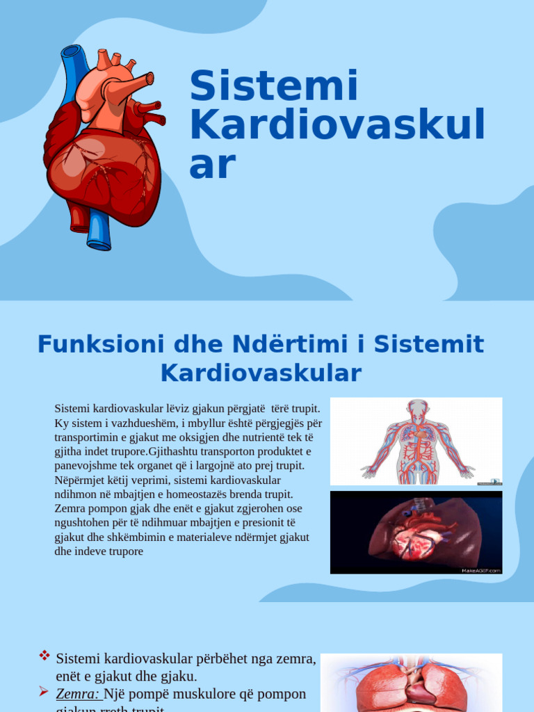 Sistemi Kardiovaskul Ar | PDF