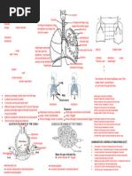 Shanann Watts Autopsy Report Summary | PDF | Autopsy | Stomach