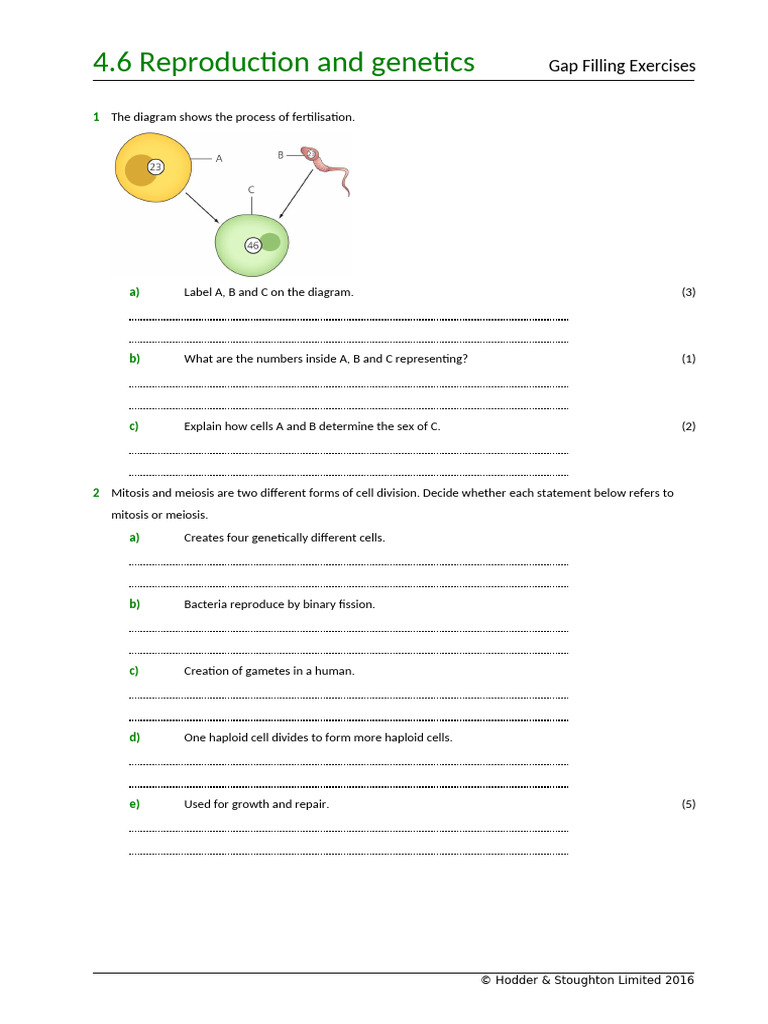 4.6 Reproduction and Genetics Exercise | PDF | Translation (Biology ...