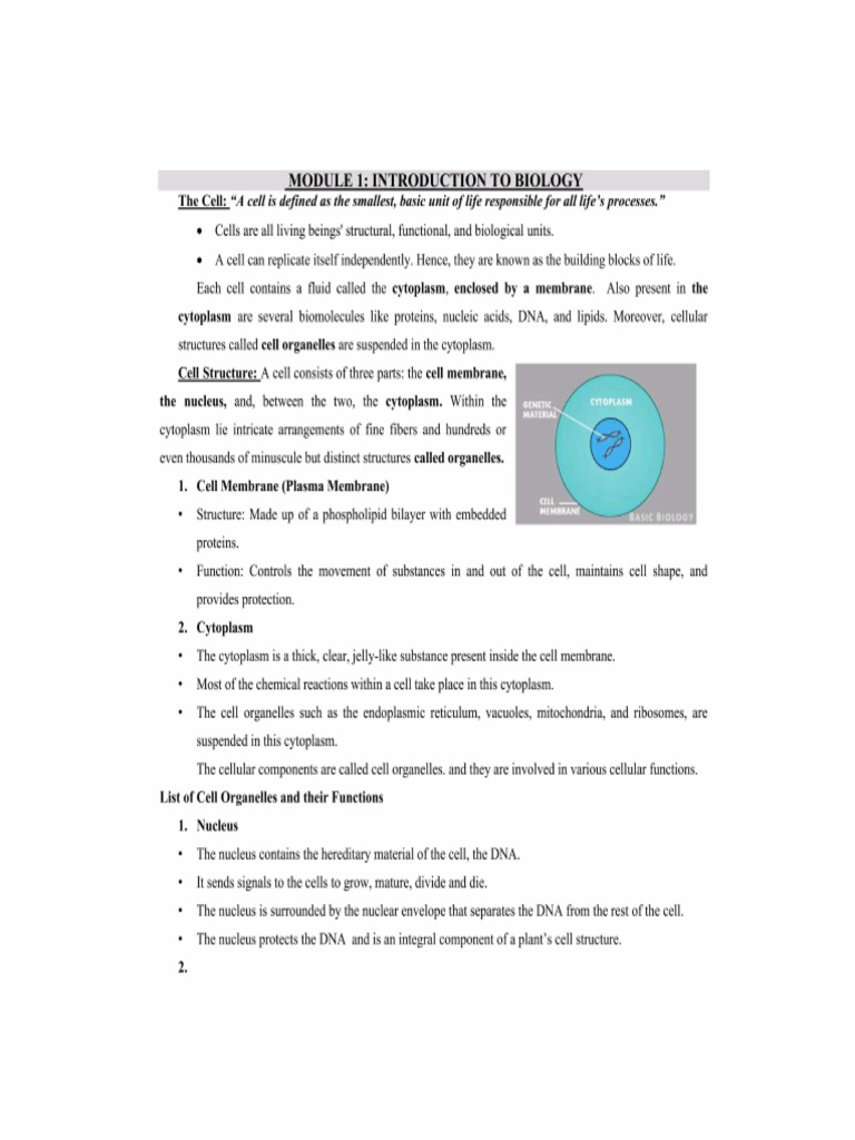 BBOC407 - Complete Notes | PDF