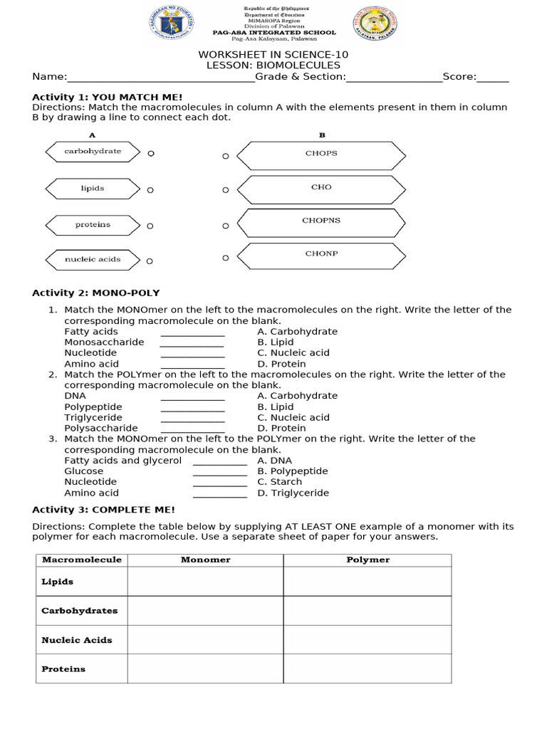 Science 10 Biomolecules Worksheet | PDF