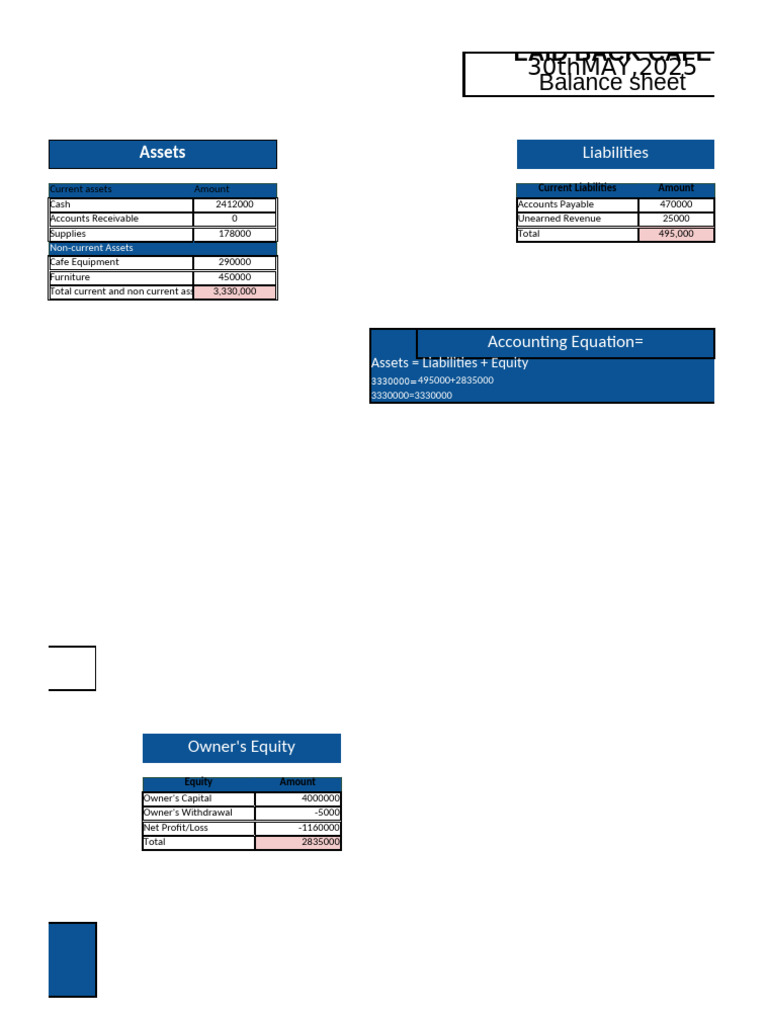 Laid Back Cafe Balance Sheet 2025 | PDF