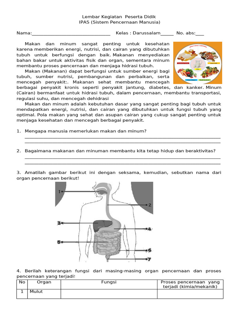 LKPD Organ Pencernaan Revisi | PDF