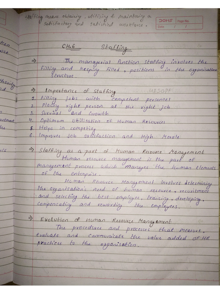 CH 6 - Staffing | PDF