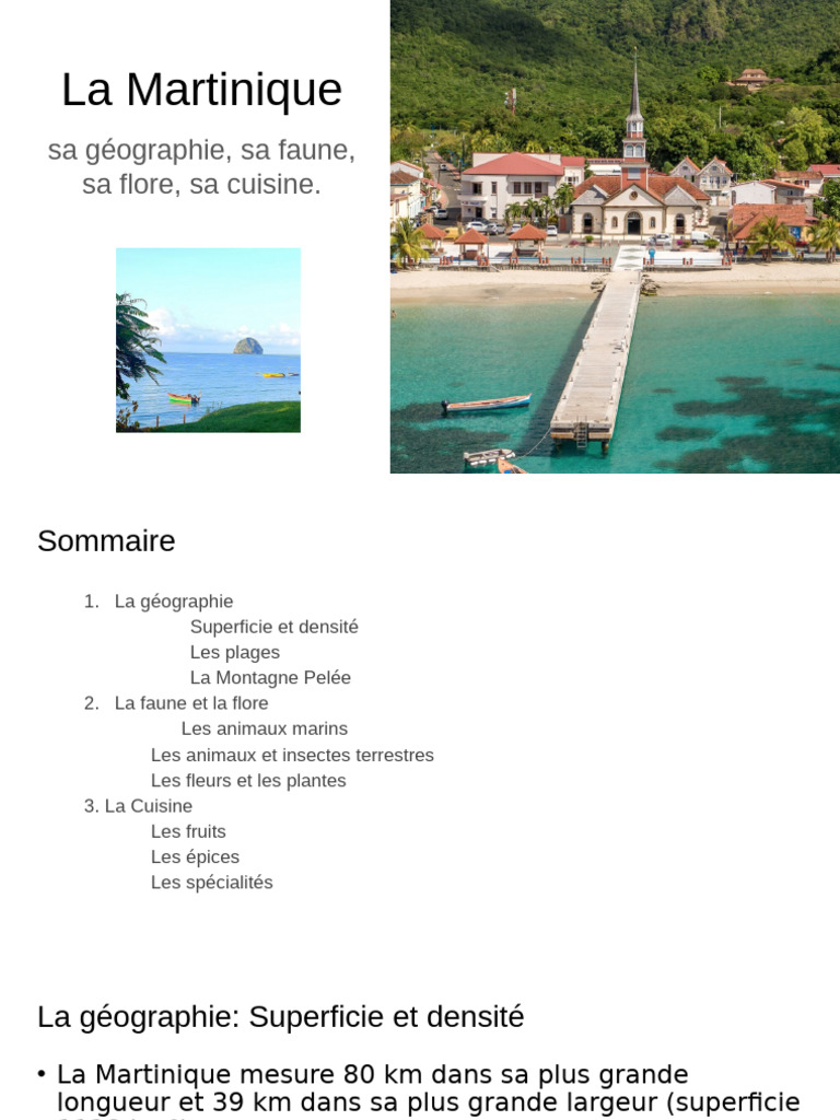Exposé sur la Martinique en CM1 | PDF