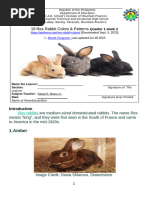 Wolvden Base Coat Genetics Guide | PDF | Nature