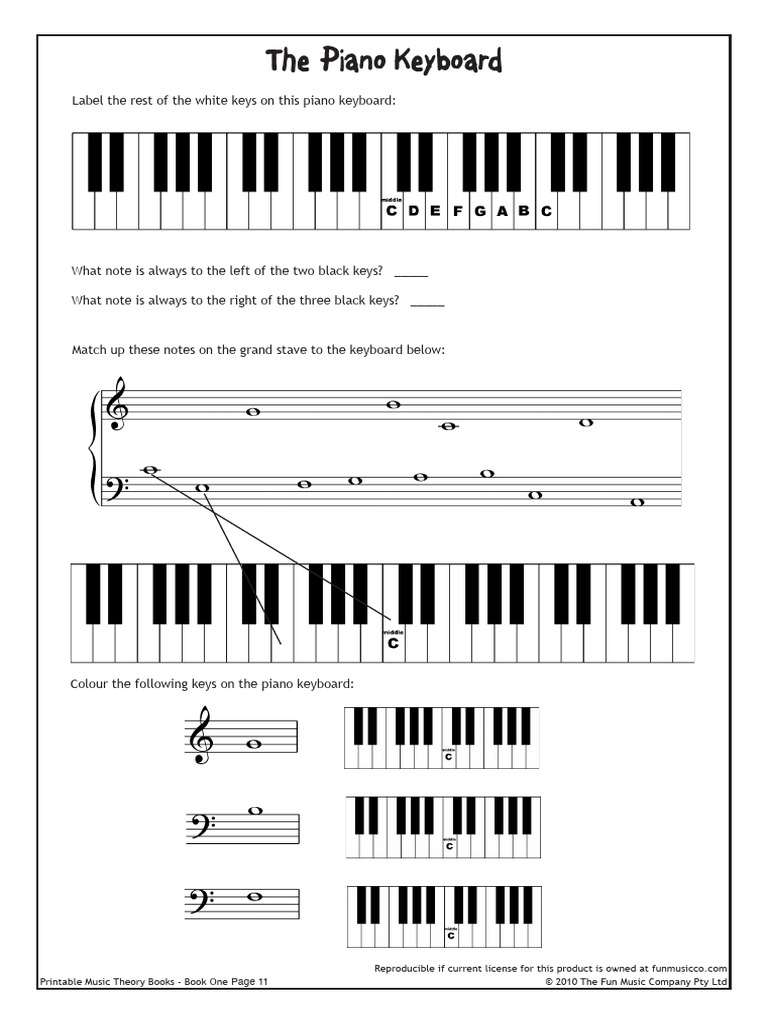 Year 7 - Lesson 5 Theory | PDF