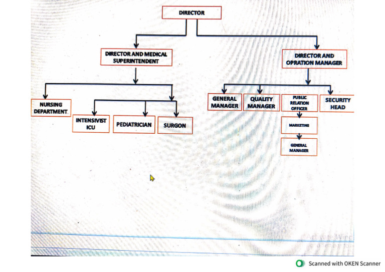 Organogram 1 | PDF
