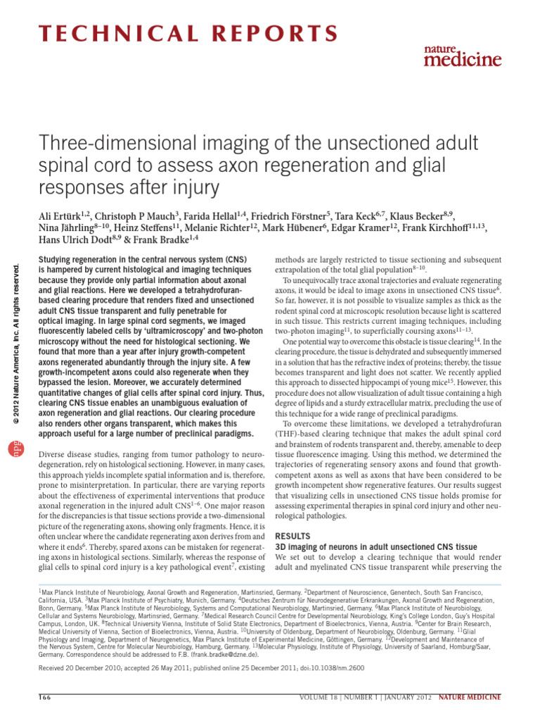 Spinal Cord To Assess Axon Regeneration | PDF | Neuroscience | Spinal Cord