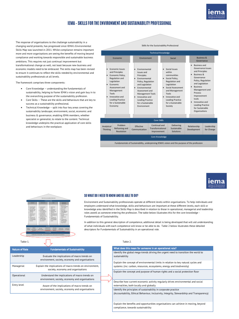 Iema Skills Map Visual Picture | PDF | Sustainability | Economies