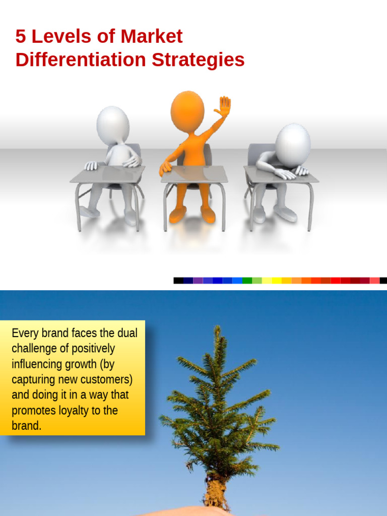 Market Differentiation Strategies | PDF | Brand | Business Economics