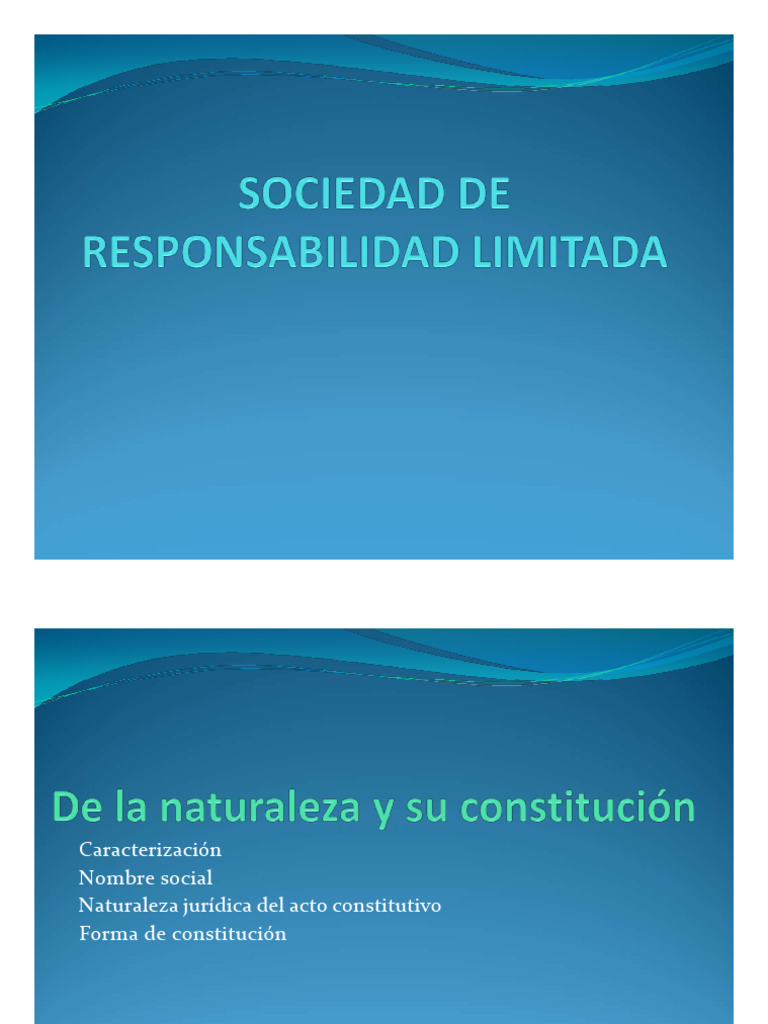 SRL | PDF | Subasta | Sociedad de responsabilidad limitada