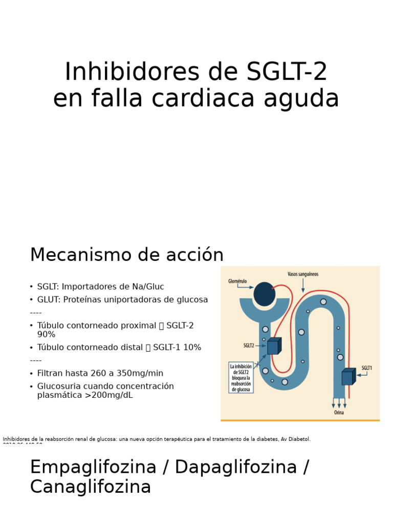 Inhibidores de La SGLT-2 | PDF | Diabetes | Angiotensina
