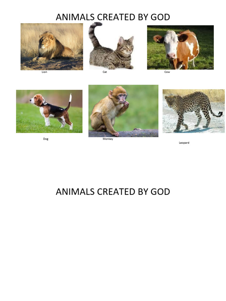 Animals Created by God | PDF