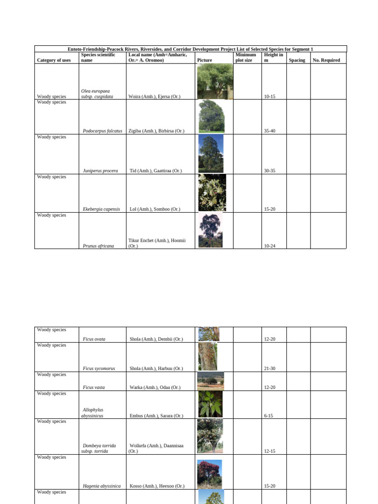 Entoto-Peacock Plant Species Along Segement 1 | PDF | Plants | Botany
