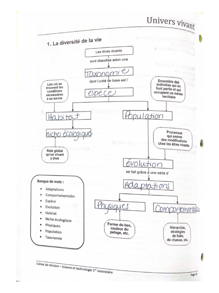 Univers Vivant Corrige | PDF