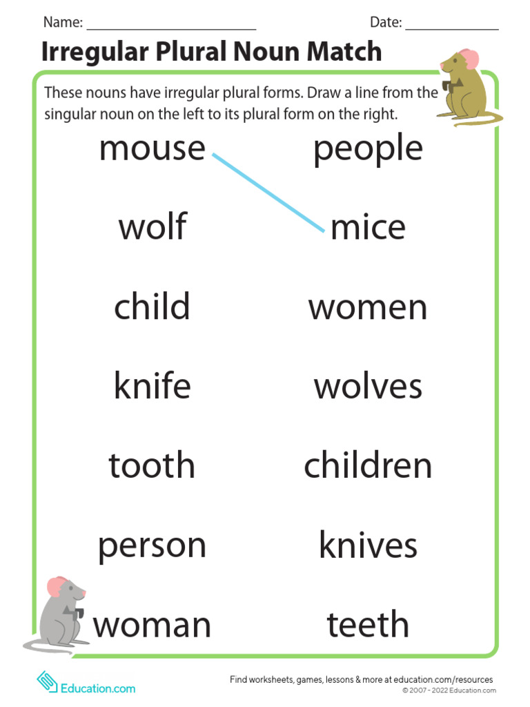 Irregular Plural Noun Match | PDF
